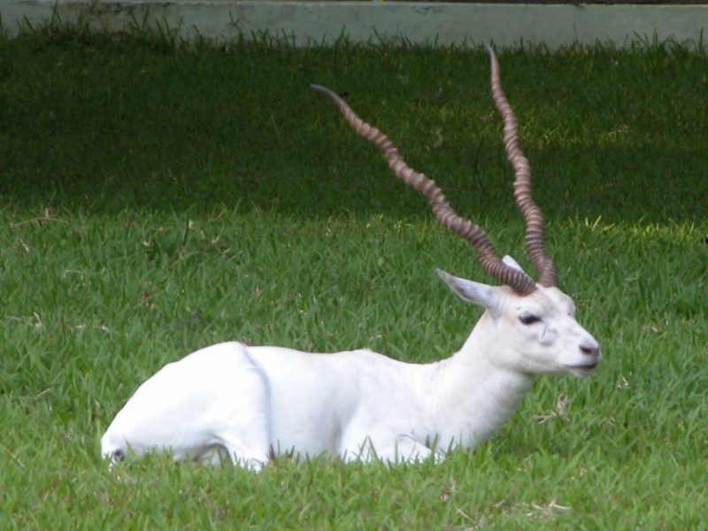 Department of Chemistry IITM